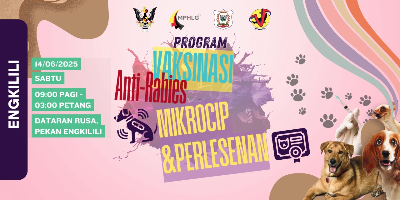 Majlis Daerah Lubok Antu